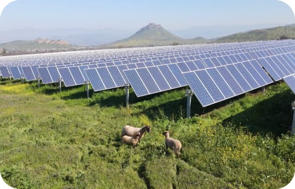 About Us – Atlas Renewable Energy